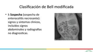 Enterocolitis Necrotizante Nec Generalpptx
