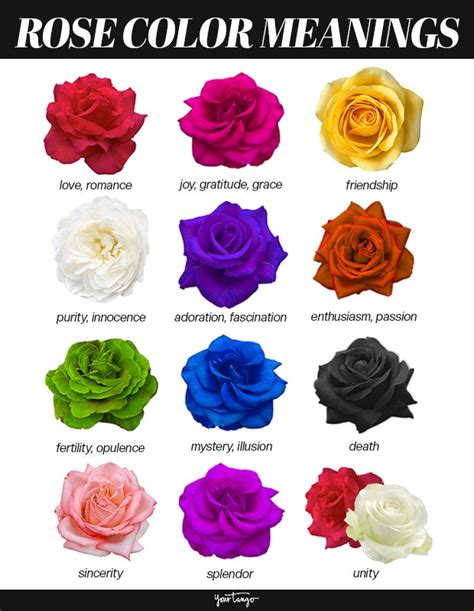 Rose Color Meanings And When To T Each Color Yourtango