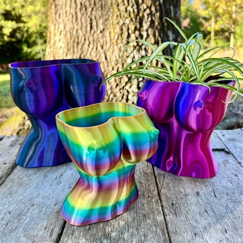 Sexy Bust Planter Boob Breast Boobs Female Dickasaurus Rex Bachelorette Party T Funny Prank