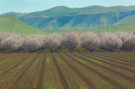 Flexibility And Intensity Of Global Water Use Research Communities By Springer Nature