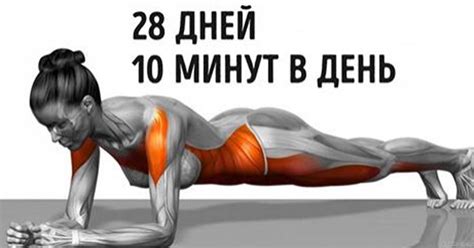 7 упражнений которые преобразят ваше тело всего за 4 недели