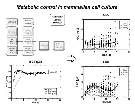 Single‐use Wave‐mixed Versus Stirred Bioreactors For 55 Off