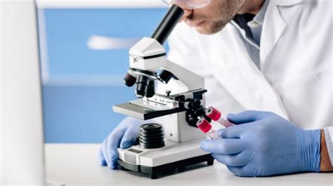 Nutrigenomics Testing Nutrition Diet And Intolerances Testing In Lakewood Co