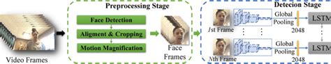Overall Of Our Process For Face Manipulation Detection Download