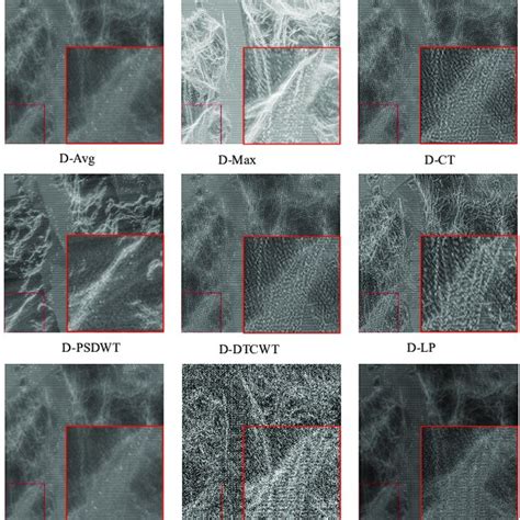 Pdf A Novel Shadow And Layover Segmentation Network For Multi Angle Sar Images Fusion