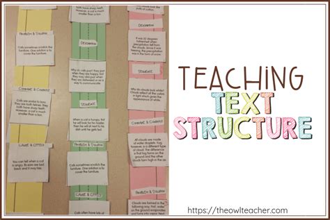 Spicing Up Text Structure The Owl Teacher