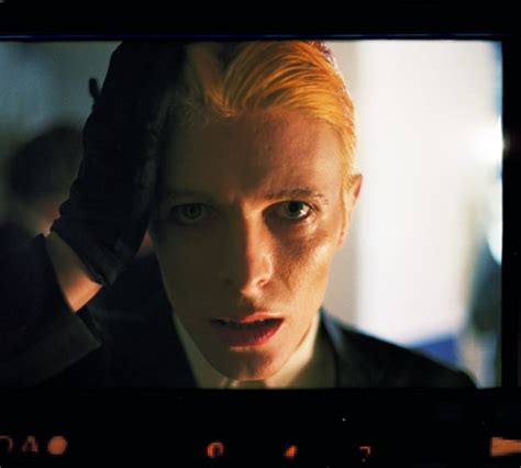 Background Thrum Of Historys Engine Gorse