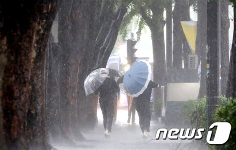 강풍과 함께 쏟아지는 폭우 뉴스1