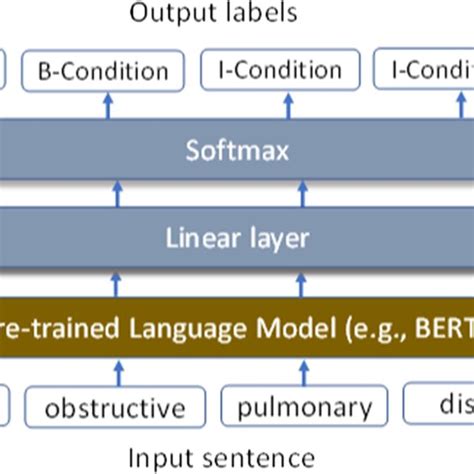 Architecture Of The Ner Task Using Pre Trained Transformer Models Download Scientific Diagram