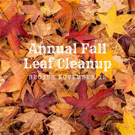 2024 Fall Leaf Cleanup Life In Montrose