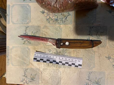 Житель Палкинского района предстанет перед судом за новогоднее убийство сожительницы