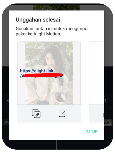 Alight Motion Mod Premium