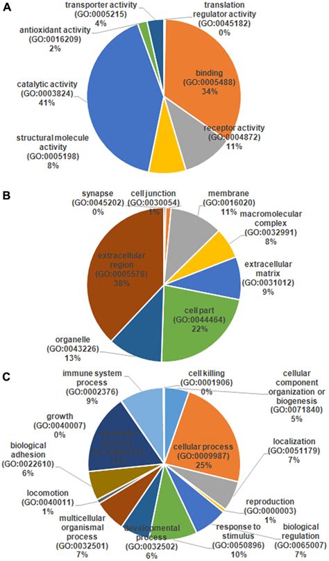 Gene Ontology Go Annotation And Functional Classification Of Download Scientific Diagram