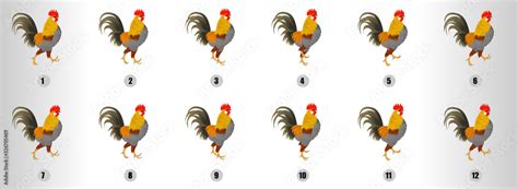 Cock Walk Cycle Animation Sequence Loop Animation Sprite Sheet 素材庫向量圖 Adobe Stock