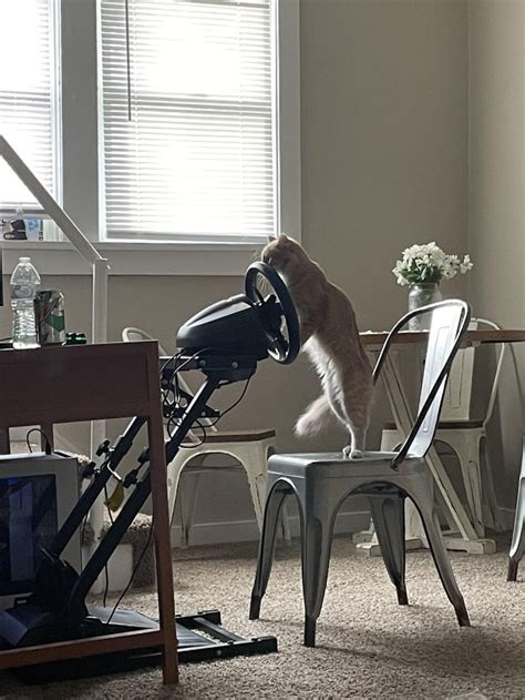 Whatd She Put It In R Cyberpunkgame