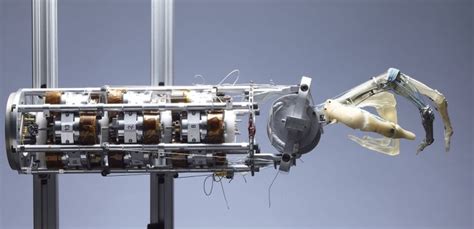 Anatomically Correct Testbed Act Hand Reneu Robotics Lab