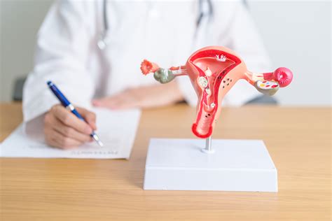 How Are Fibroids Removed Lumina Interventional Radiology