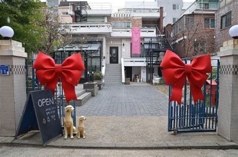 디자인센스 자이언트플라워 초대형박스 상자 초대형꽃 에바폼꽃 페이퍼플라워 포토존제작 조명숙플라워 초대형리본 초대형상자 왕리본 대형꽃 선물상자 크리스마스장식