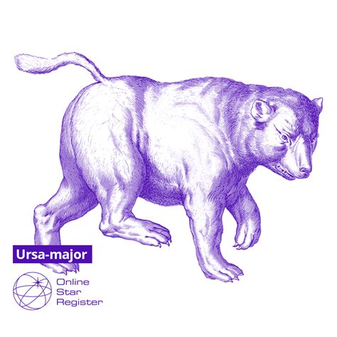 Constellation Ursa Major T Map Coordinates And Explanation