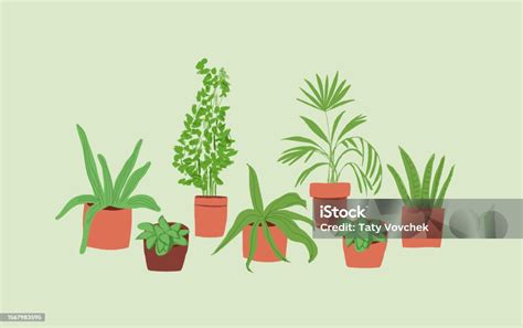 화분 벡터 일러스트 세트에 심습니다 만화 플랫 다른 실내 화분에 심은 장식 관엽 식물 인테리어 홈 또는 사무실 장식 녹색 정원 꽃 컬렉션 아이콘 흰색 격리 0명에 대한 스톡