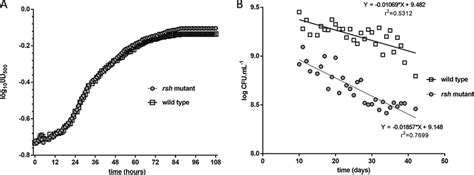 Nodules From Soybean Inoculated With B Diazoefficiens Usda 110 In The Download Scientific