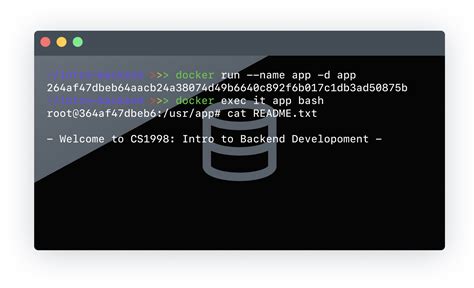 intro to backend development cornell appdev