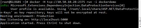 How To Run Docker Daemon From Shell And Browser General Docker Community Forums
