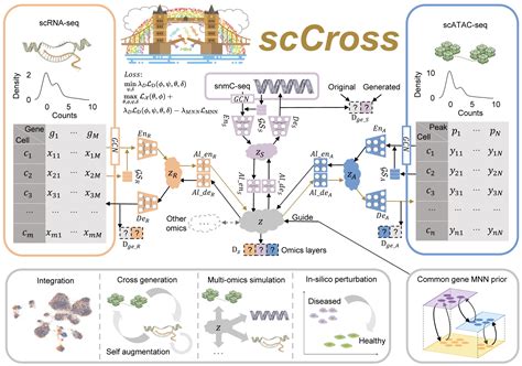 Welcome To ScCross Documentation ScCross Documentation