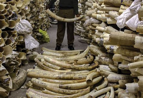 How To Sell Ivory