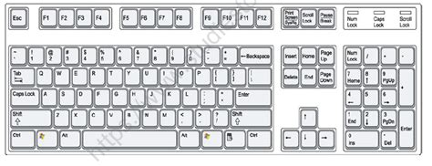 Cbse Class 1 Computer Science Operating A Keyboard Worksheet