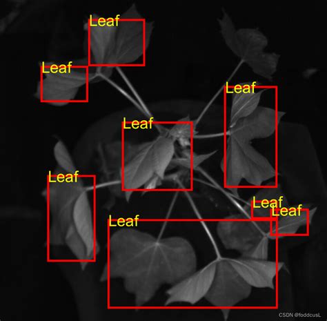 Matlab 运用传统图像分割 深度学习的实现图像分割与识别案例 棉花的苞叶与叶matlab卷积神经网络图像识别 Csdn博客