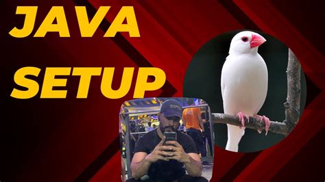 Java Sparrow Setup Javabreedingtips Javabreeding Whitejava Youtube