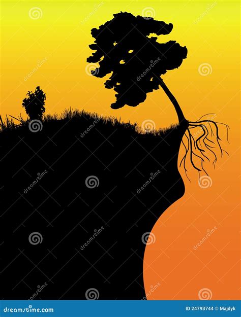 Tree On A Cliff Stock Vector Illustration Of Pine Vector