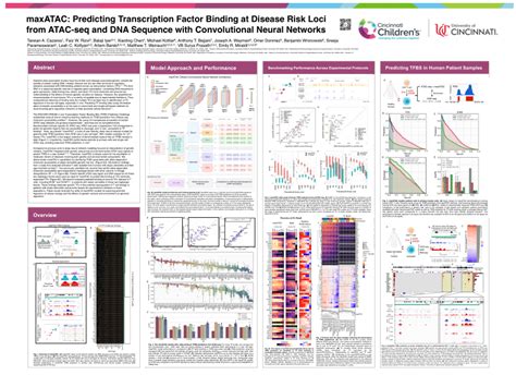 Pdf Maxatac Predicting Transcription Factor Binding At Disease Risk Loci From Atac Seq And
