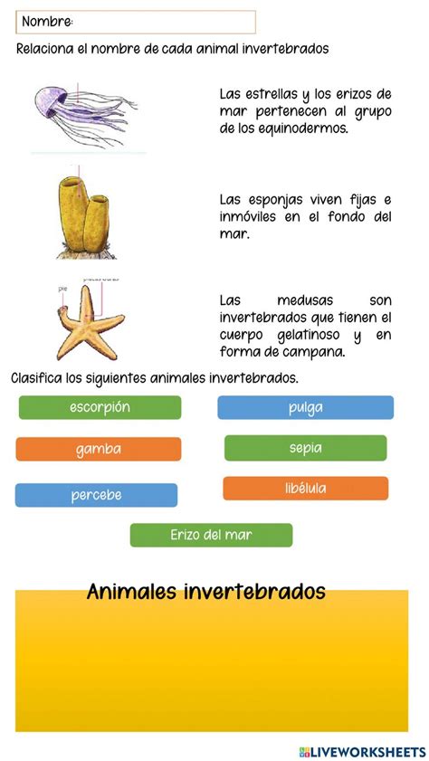 Animales Invertebrados Online Worksheet For 4 Live Worksheets
