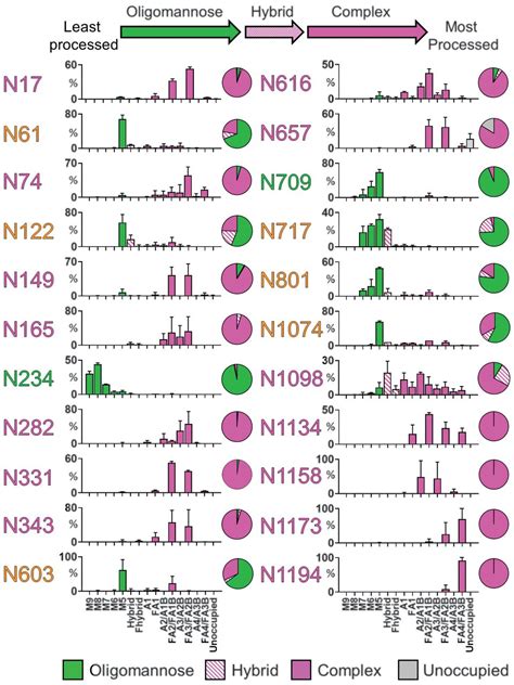 Site Specific Glycan Analysis Of The Sars Cov 2 Spike Science