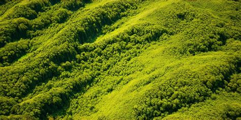 Exploring Terrain Generation In Unity 3d Using Perlin Noise