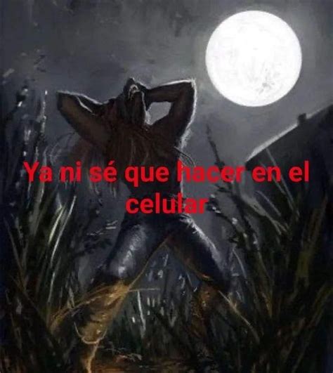 Imagenes Curseadas Fotos Random Raras Tweets Divertidos Yo