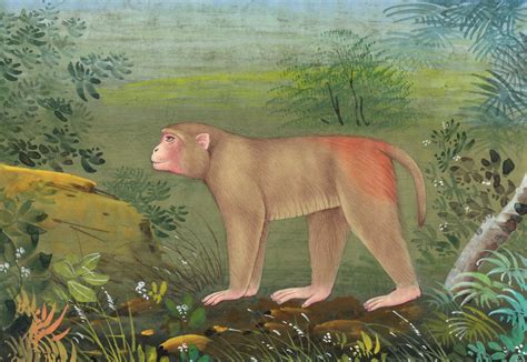 Indian Miniature Art Handmade Assam Macaque Monkey Watercolor Nature