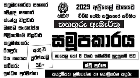 සමූපකාරය බඳවාගැනීම් 2023 April තනතුරු 30 කට වඩා සාපෙල හෝ 8 වසර සිට ඉහලට සුදුසුකම් සඳහා