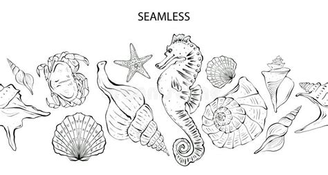 Seashells Seamless Graphic Border Template On White Background Hand Drawn Illustration In Line