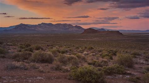 Black Rock Desert