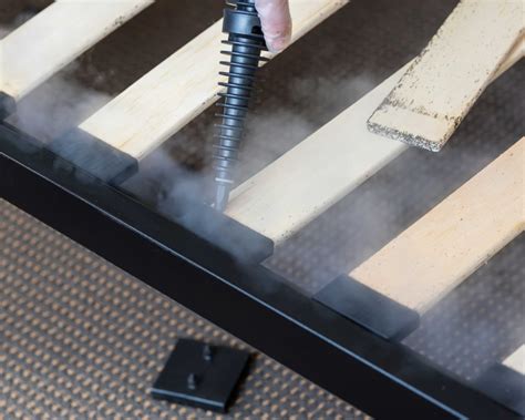 Buffalos Best Bed Bug Extermination Service