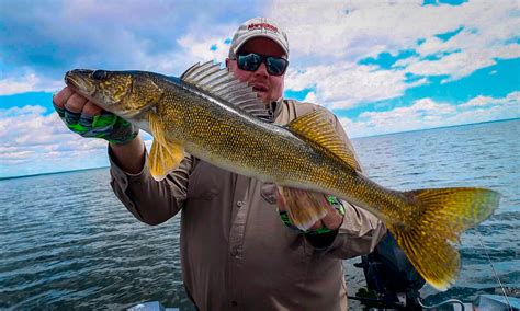 Summer Walleye Strategies Northland Fishing Tackle