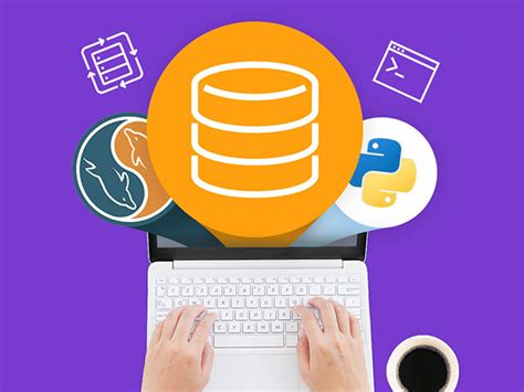 Sql Database Starter Bundle Stacksocial