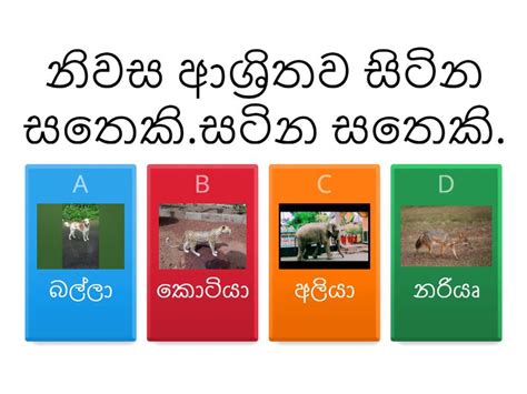 අප අවට සතුන් Quiz