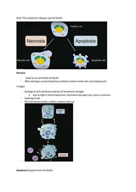Week 12 Lecture Notes Bio1011 Blueprints For Life Monash Thinkswap