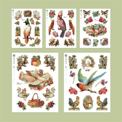 바이나쿠 컷팅 스티커 버드 위시버킷