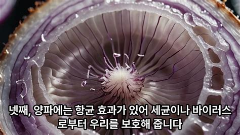 양파의 놀라운 효능 피를 맑게 해주는 최고의 식품~ Youtube