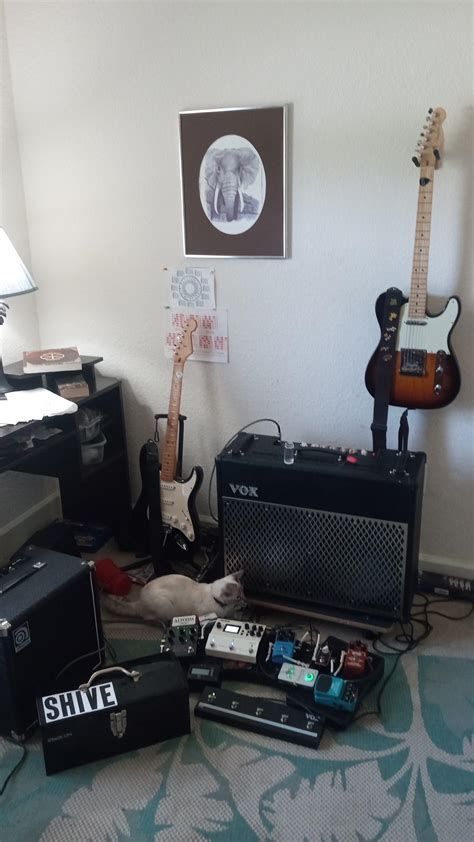 State Of The Board R Pedalboards